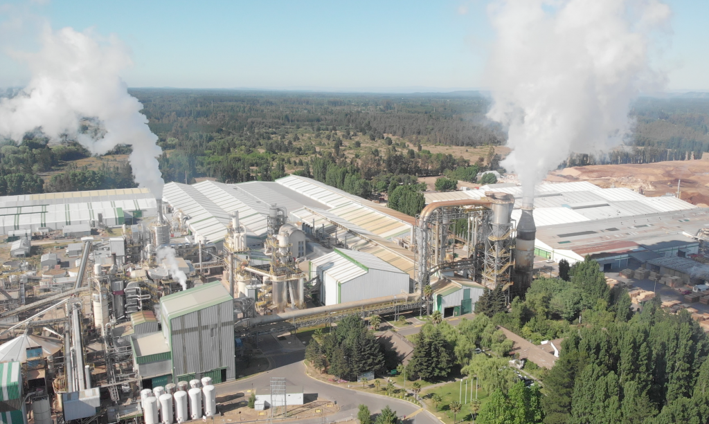 Noticias – Corporativo Masisa